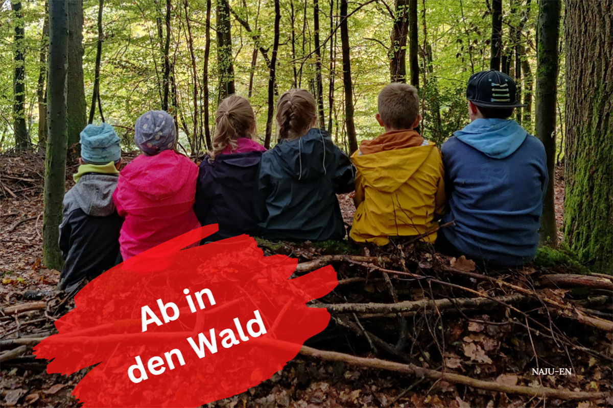 Die Waldmäuse gehen an den Start - Oberberg-Aktuell
