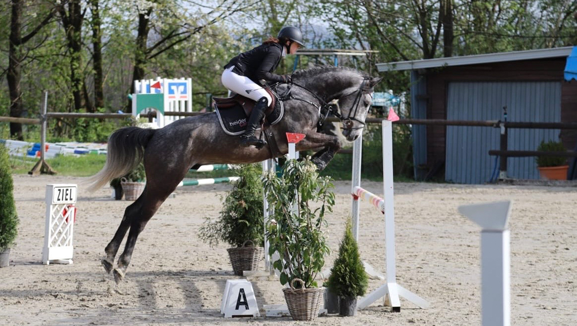 Fast 330 Reiter und 500 Pferde kamen zum Aprilturnier - Oberberg-Aktuell