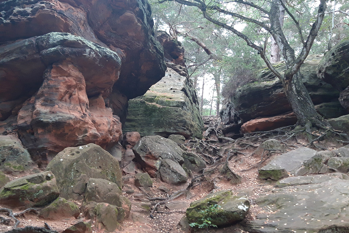 Fabelwelt - Oberberg-Aktuell